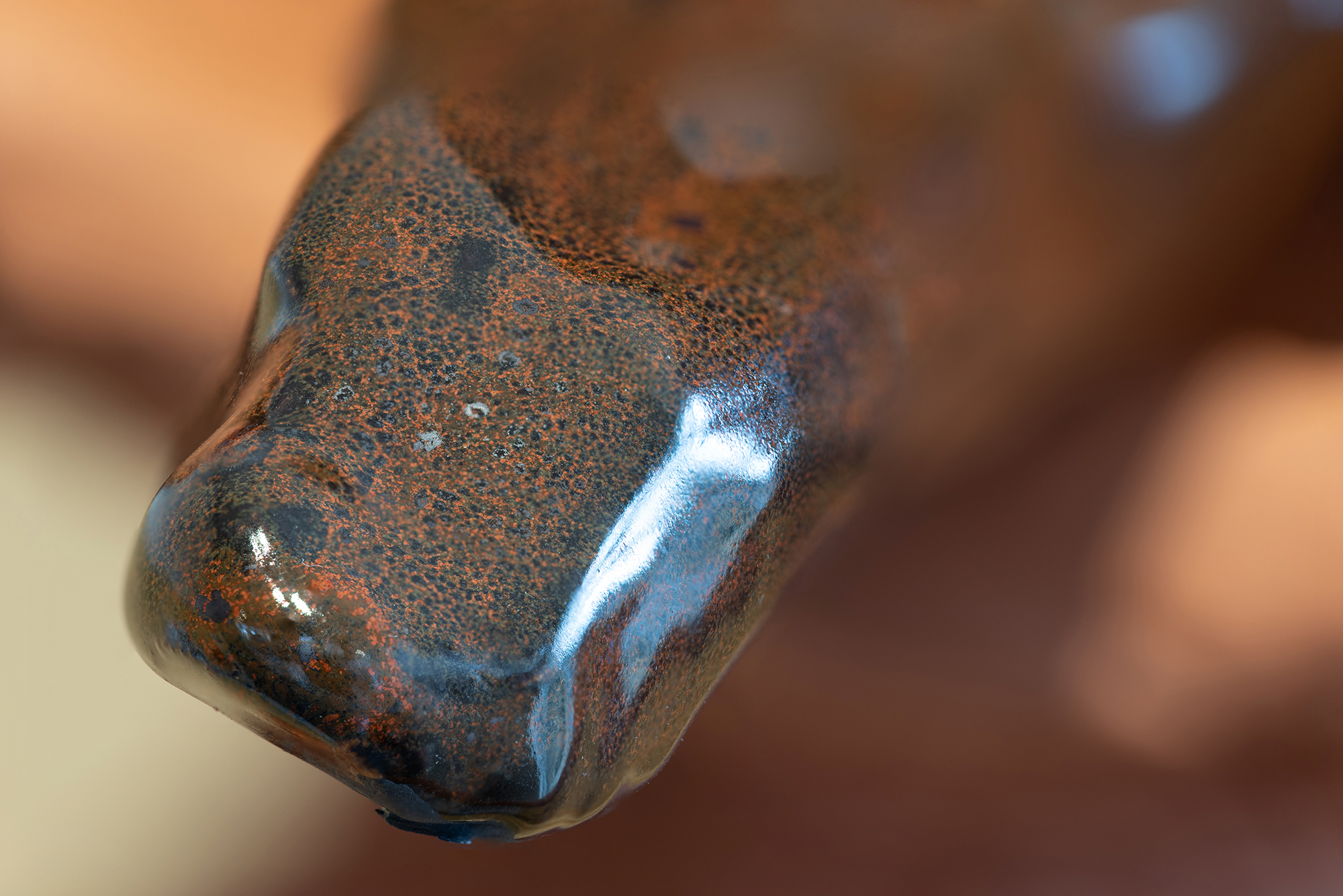 Ones to Watch: Interview with Amelia Frances Wood - Sunny Bank Mills