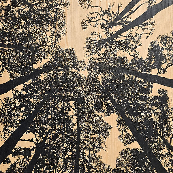 Print Festival 2025 - Sunny Bank Mills | Art Gallery & Business Space ...
